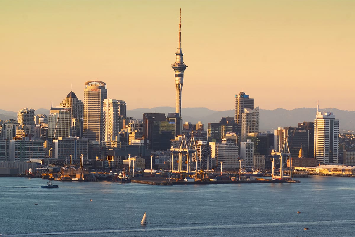 Homepage | DFS | Auckland