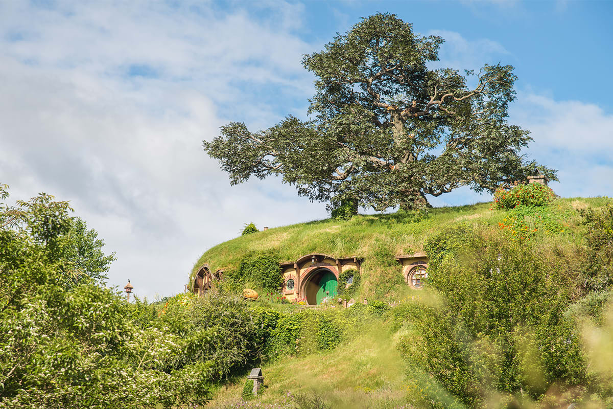 Homepage | DFS | Auckland